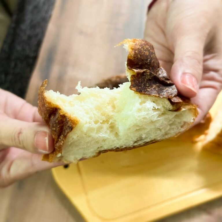 【福智】やみつきになる街のパン屋さん。パンホリックの生フランス - 筑豊情報マガジンWING
