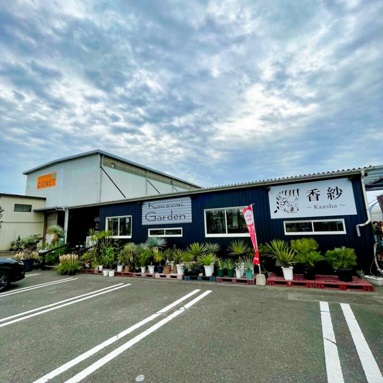 【川崎】癒しの空間で味わうこだわりの飲むスイーツ。香紗 ～Kaasha～の焦がし黒糖ミルク - 筑豊情報マガジンWING