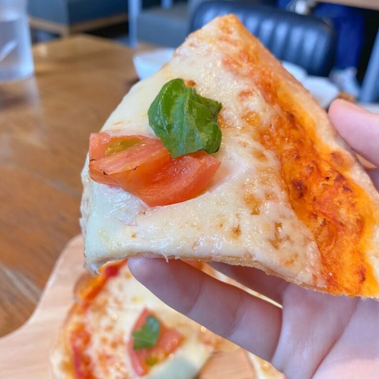 【飯塚】飯塚市のイタリア料理店といえば！創業から20年以上のFELICE BASILで味わう秋色ランチ - 筑豊情報マガジンWING