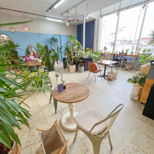 【飯塚】本も緑も家具も愉しめる♪BOOK OFF内にあるSaudade cafe（サウダージカフェ） - 筑豊情報マガジンWING