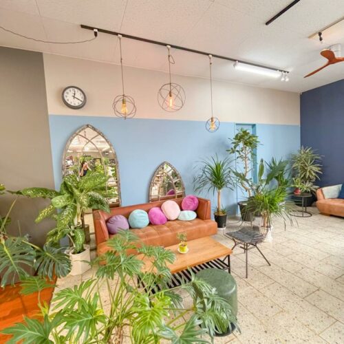 【飯塚】本も緑も家具も愉しめる♪BOOK OFF内にあるSaudade cafe（サウダージカフェ） - 筑豊情報マガジンWING